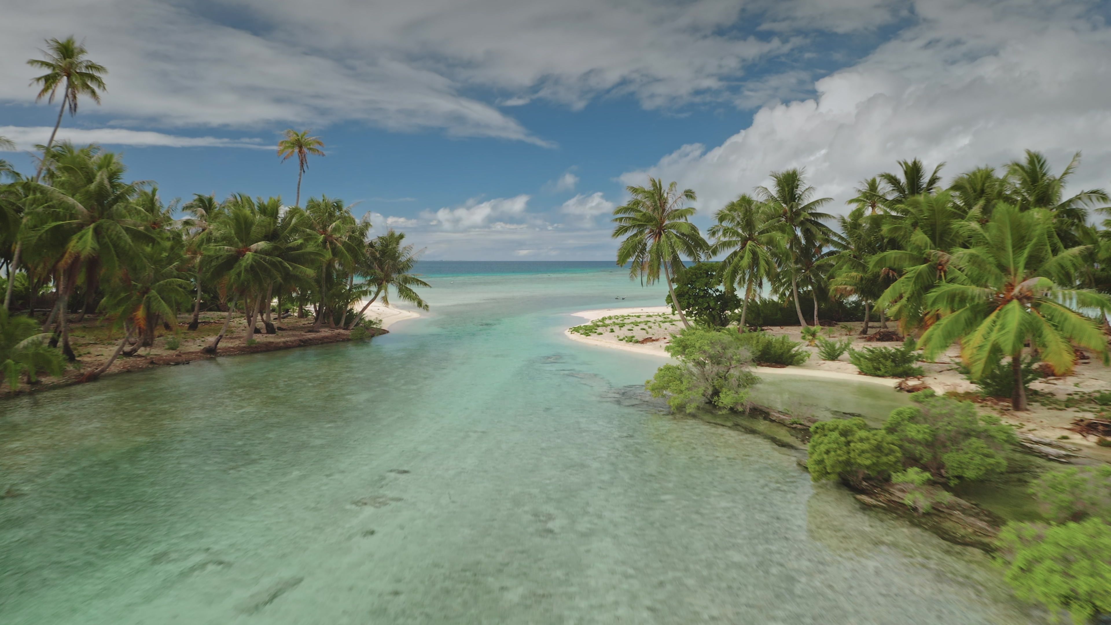 Îles Tuamotu : Rangiroa, Tikehau, Fakarava Guide Polynésie