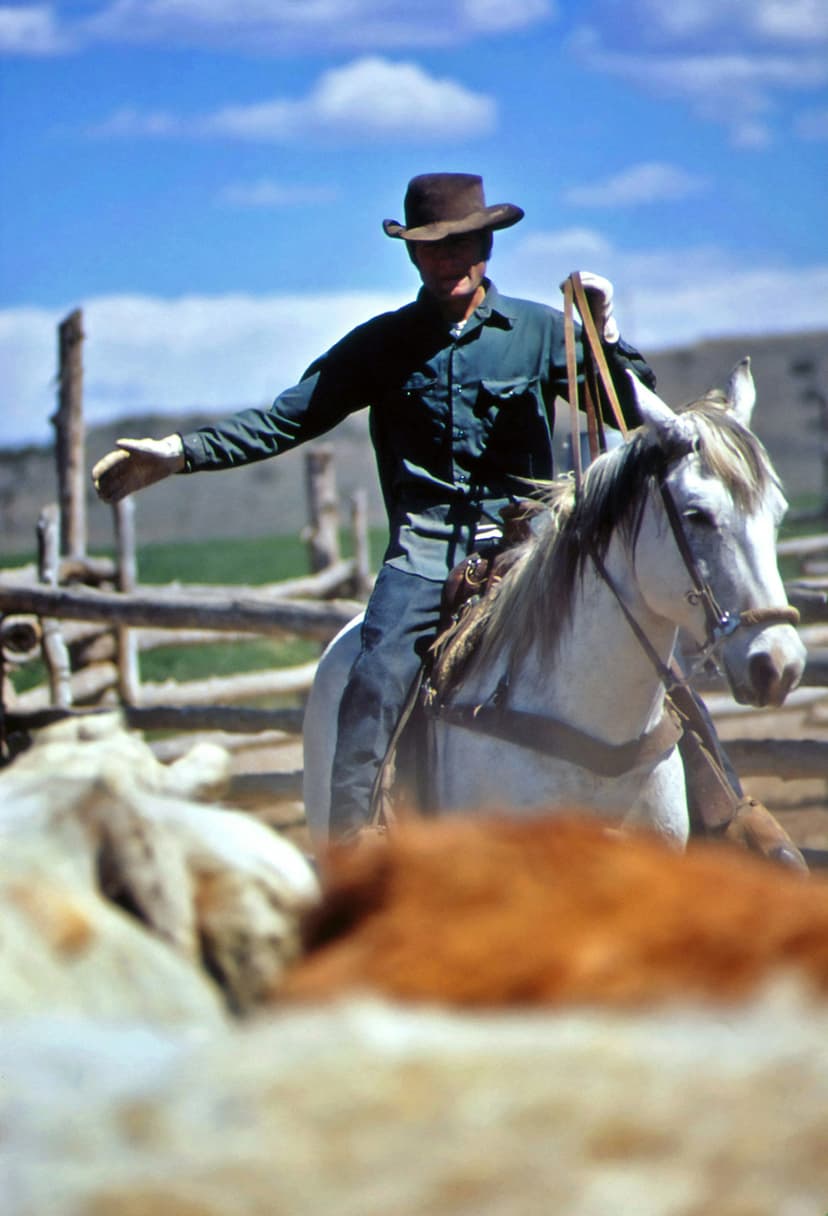 Séjourner dans un ranch aux USA : guide et top 10